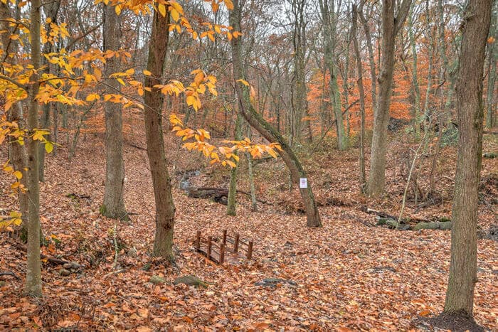 Rehab Centers in RI | Drug & Alcohol Rehab Rhode Island | Detox