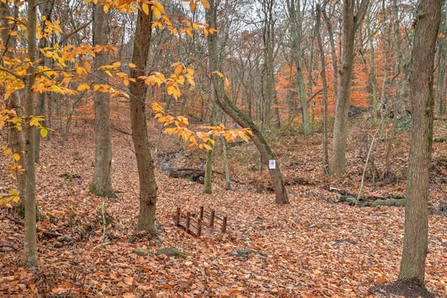 Drug & Alcohol Rehab Treatment Rhode Island - Detox | AdCare